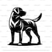 Labrador Retriever SVG Bundle - Etsy
