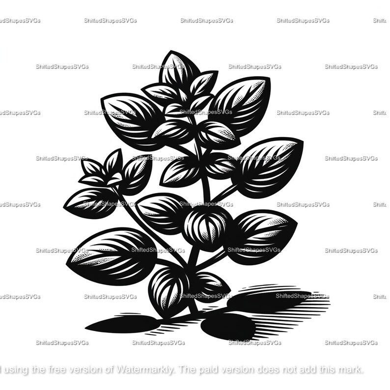 Thyme SVG Bundle - Etsy