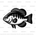 Bluegill Fish SVG Bundle - 5 Exquisite Aquatic Designs - Etsy