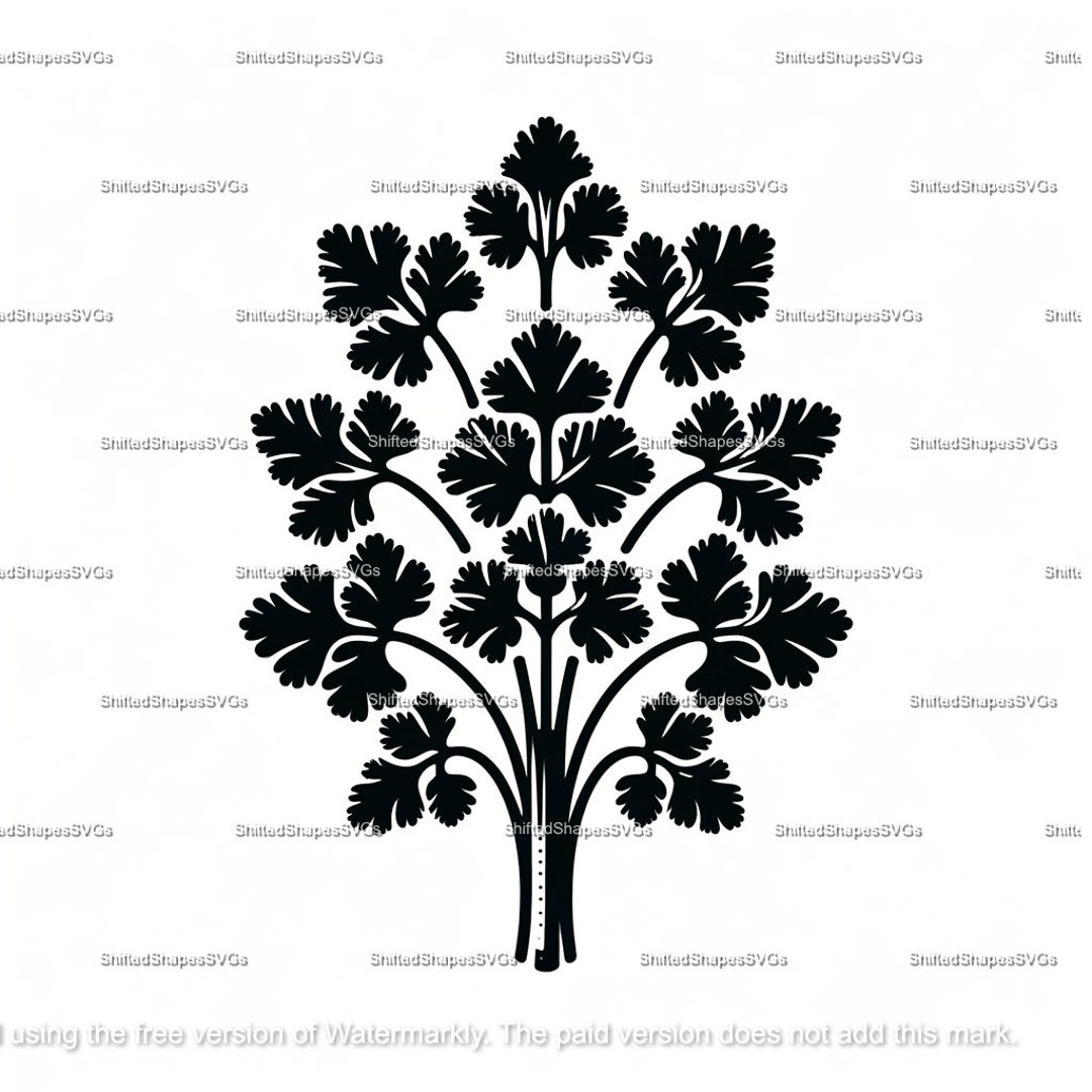 Cilantro SVG Bundle - Etsy