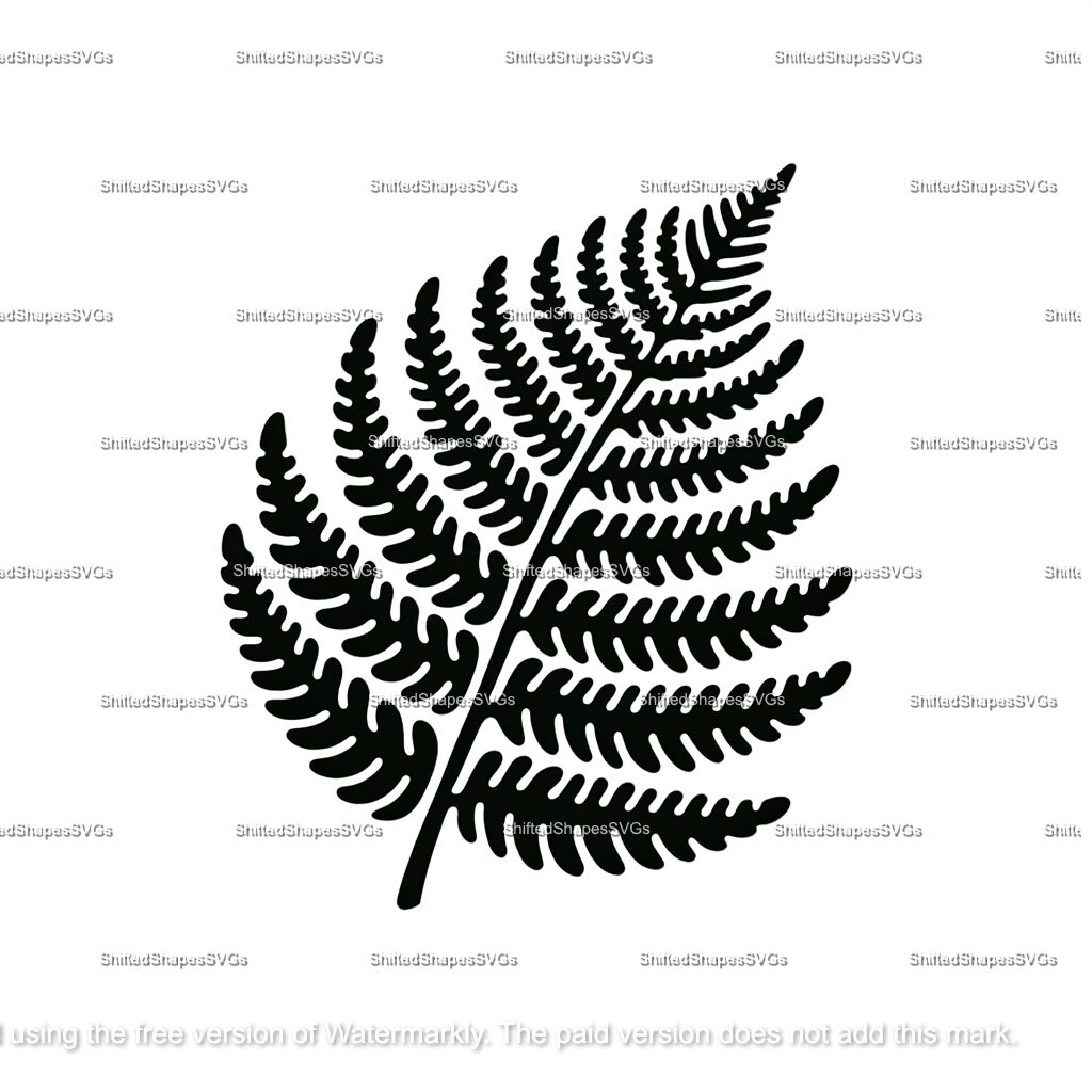 Fern SVG Bundle - Etsy