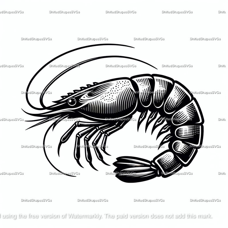 Shrimp SVG Bundle - Etsy