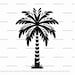 Palm Tree SVG Bundle - Etsy