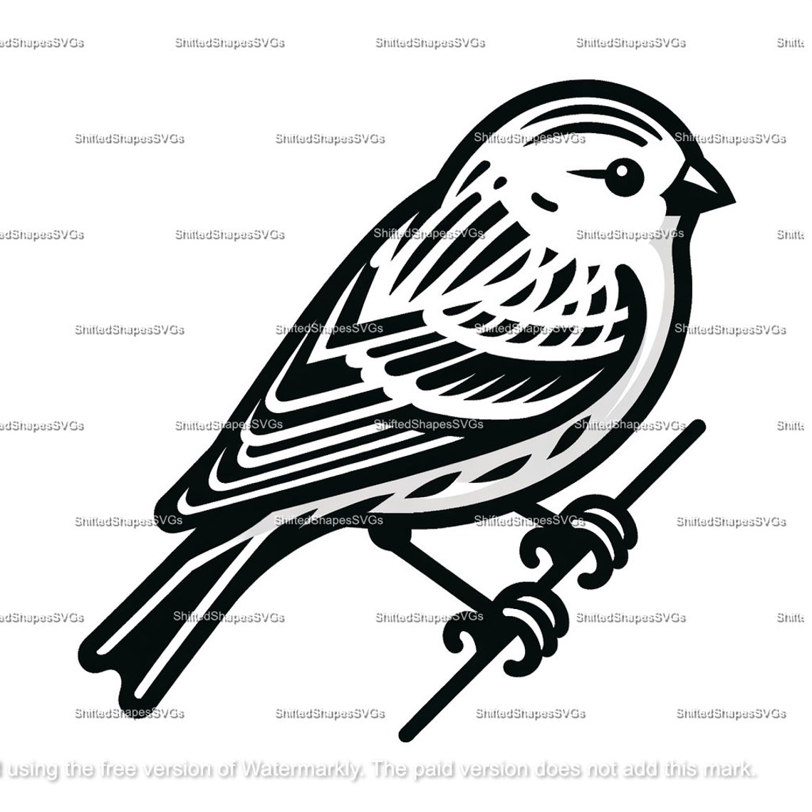 Canary SVG Bundle - Etsy