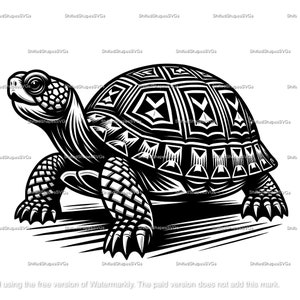 Box Turtle SVG Bundle - Etsy Canada