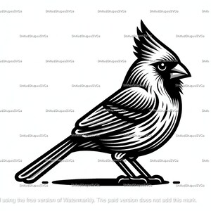 Northern Cardinal SVG Bundle - Etsy