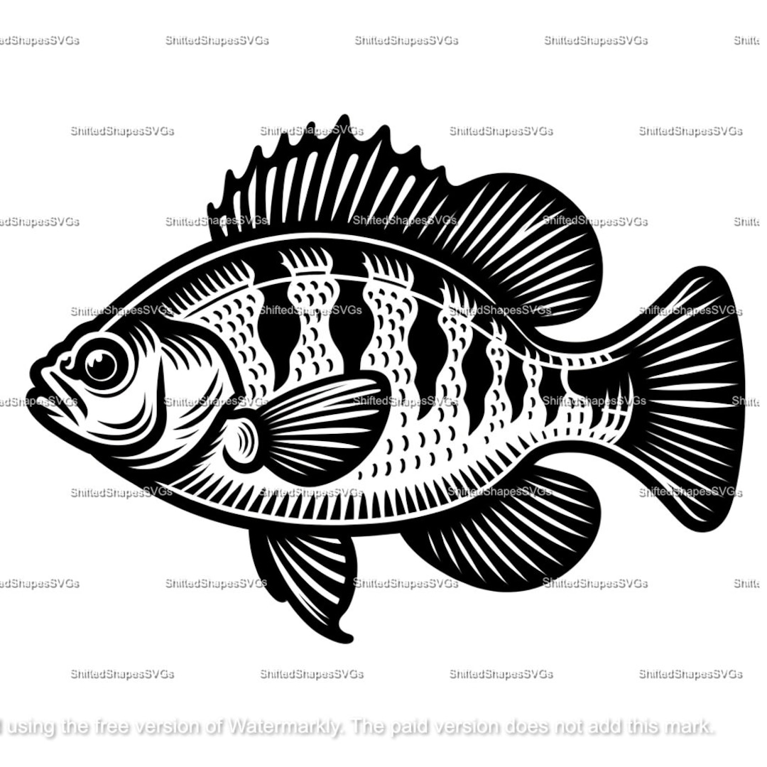 Bluegill Fish SVG Bundle - 5 Exquisite Aquatic Designs - Etsy