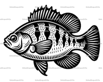 Bluegill Fish SVG Bundle - 5 Exquisite Aquatic Designs - Etsy