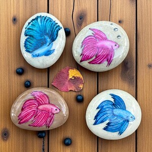 Betta Fish Painted Rocks, Small Aquatic Home Decor - Etsy