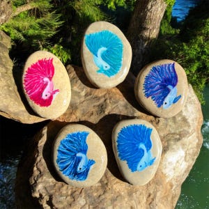 Hand-painted Betta Fish Stones: A Splash of Blue and Red for Aquatic ...