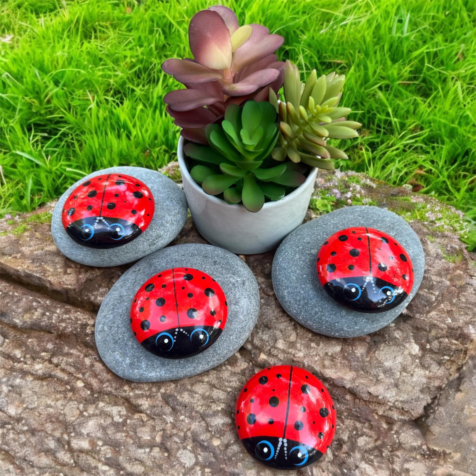 Frogs, Ladybugs, and Bees - Garden Pet Painted Rocks - Etsy