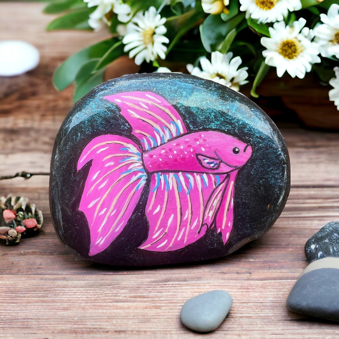 Betta Fish, Painted Stone, Aquatic Art, Fish Painting - Etsy