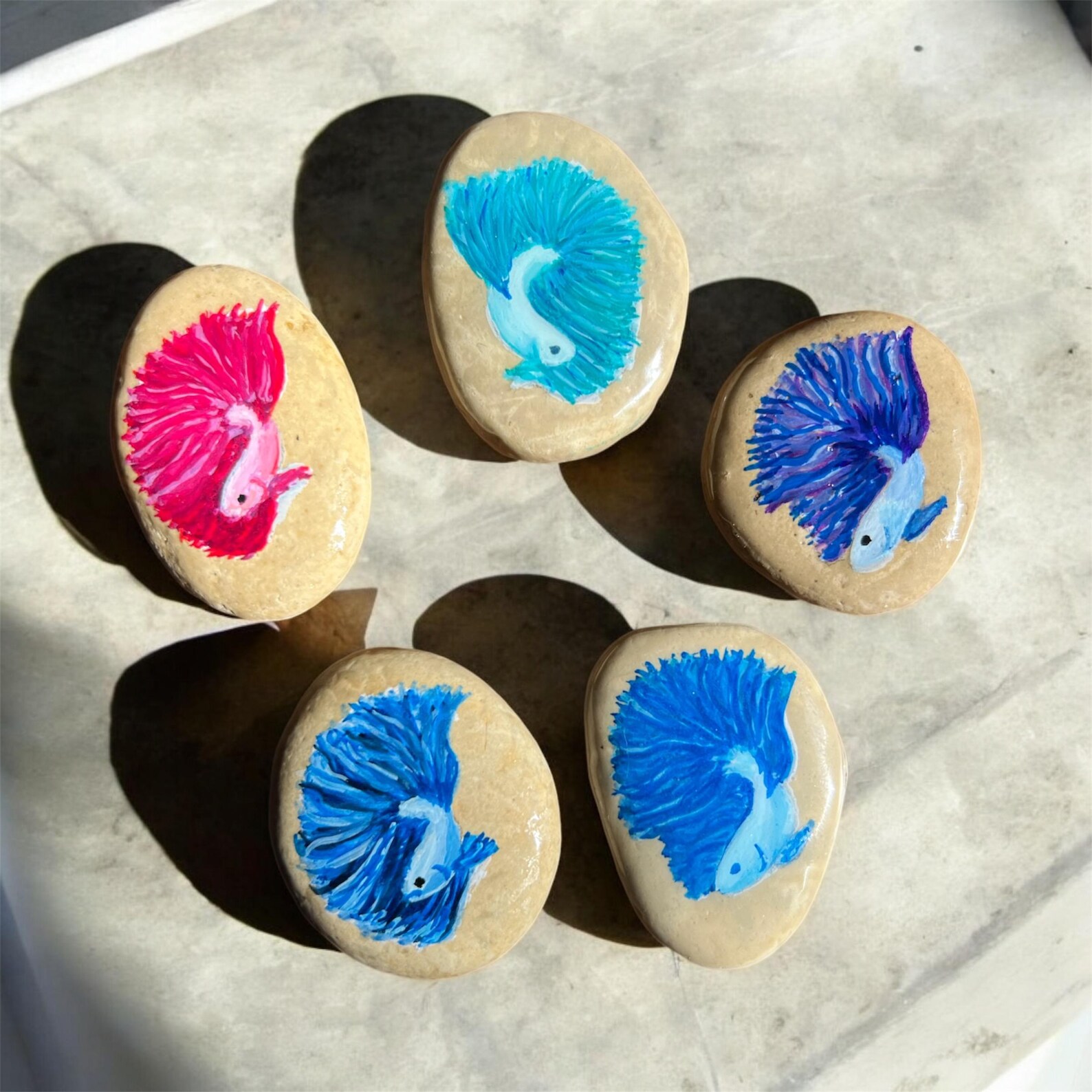 Hand-painted Betta Fish Stones: A Splash of Blue and Red for Aquatic ...