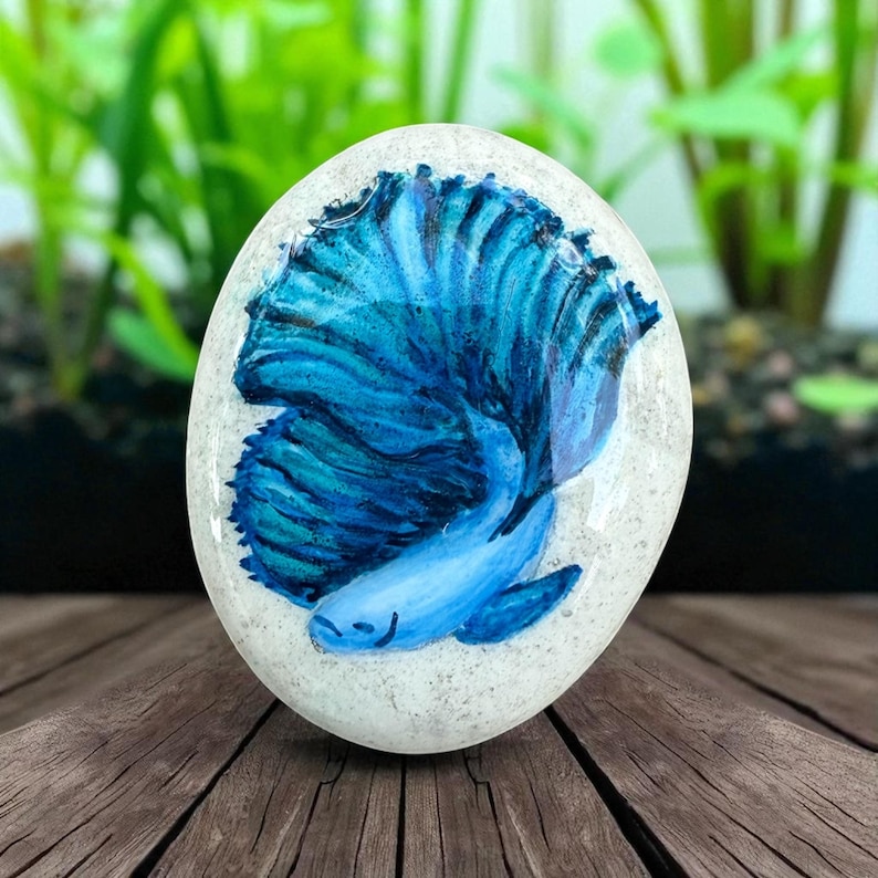 Betta Fish Painted Rocks, Small Aquatic Home Decor - Etsy