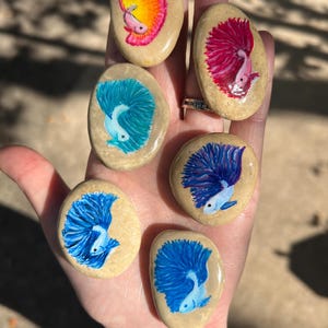 Hand-painted Betta Fish Stones: A Splash of Blue and Red for Aquatic ...