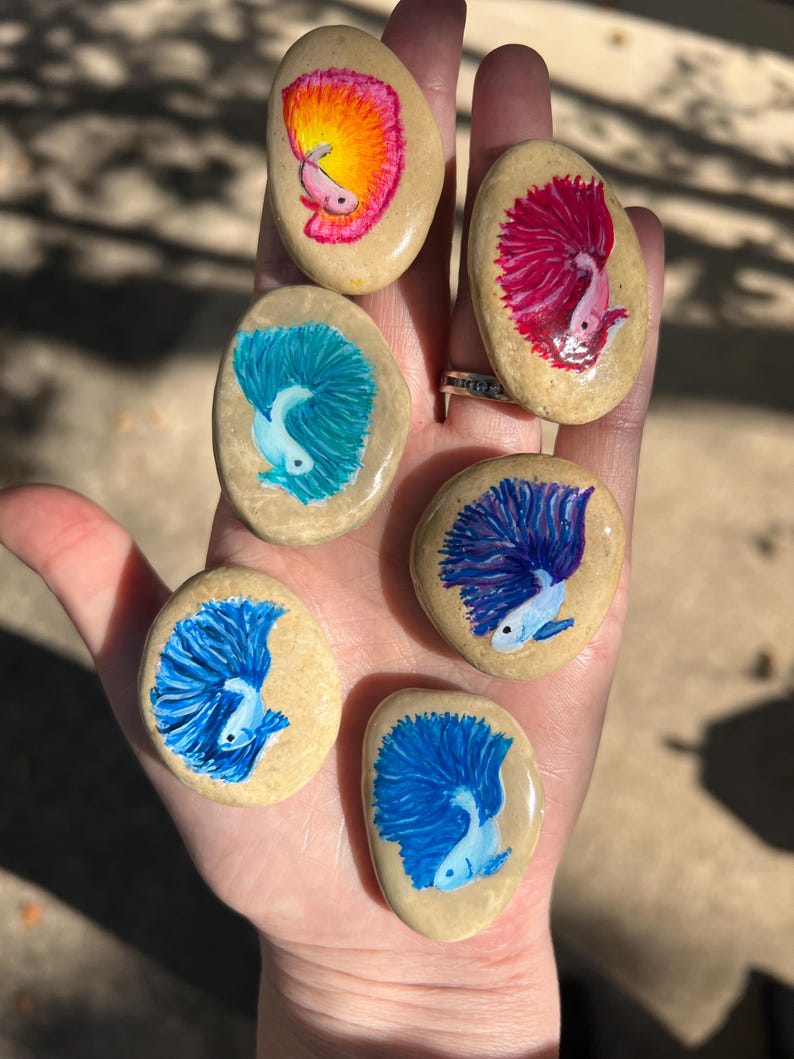 Hand-painted Betta Fish Stones: A Splash of Blue and Red for Aquatic ...