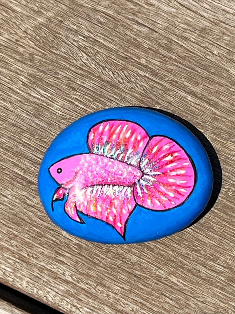 Hand-painted Betta Fish Art Stone Colorful Aquatic Decor, Unique Rock ...