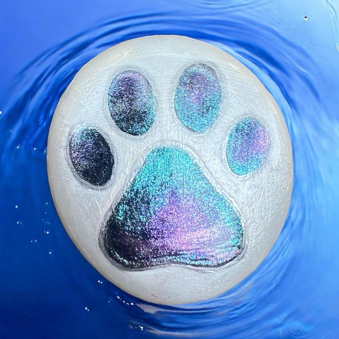 Paw Print Painted Rock Hand-painted Cute Cat & Dog Art Stone One of a ...