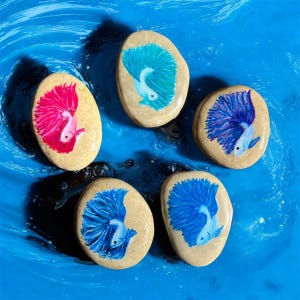 Hand-painted Betta Fish Stones: A Splash of Blue and Red for Aquatic ...