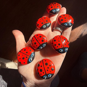 Lucky Ladybugs, Set of 4 Hand Painted Marble Rocks. - Etsy
