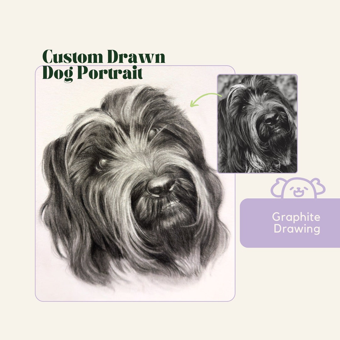 Custom Dog Portrait - Graphite 5x7in Drawing - Etsy