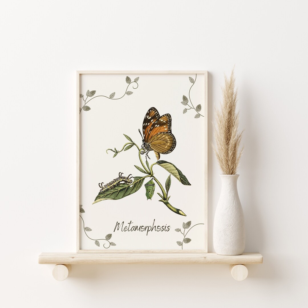 Butterfly Printable Wall Art, Metamorphosis Art, Floral Poster, Digital ...