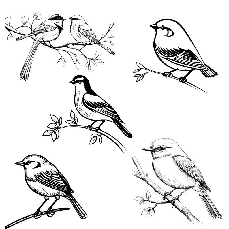 Birds Line Art, Minimalist Bird, Hand Drawn Vector Birds, Line Art ...