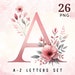 Floral Alphabet Clipart: Pink Watercolor Letters (PNG Digital Download ...