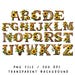 Rustic Sunflower Alphabet & Numbers: Vintage Floral Monogram (digital ...