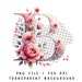 Floral Alphabet Clipart: Pink Watercolor Letters (PNG Digital Download ...