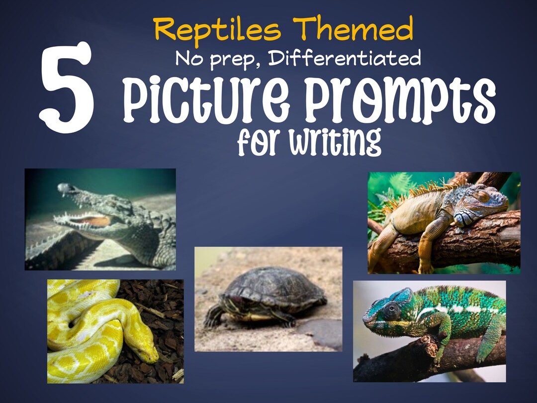 5 Reptiles No-prep, Differentiated Picture Prompts for Writing ...