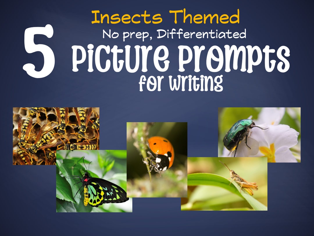 5 Insects No-prep, Differentiated Picture Prompts for Writing - Primary ...