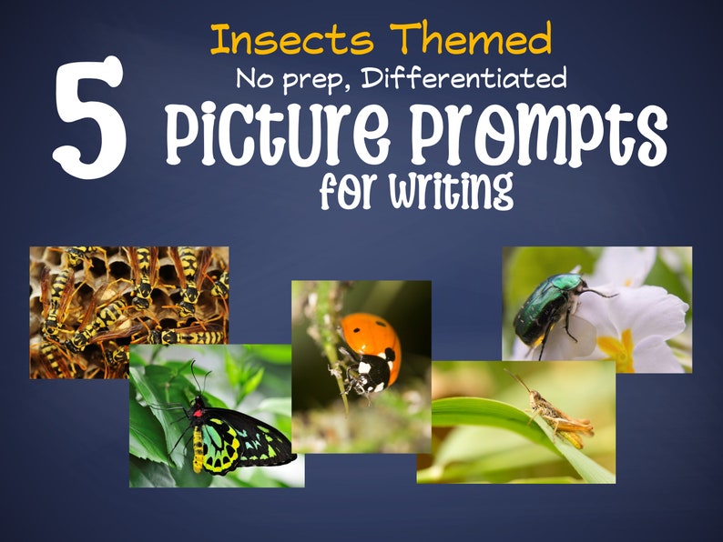 5 Insects No-prep, Differentiated Picture Prompts for Writing - Primary ...