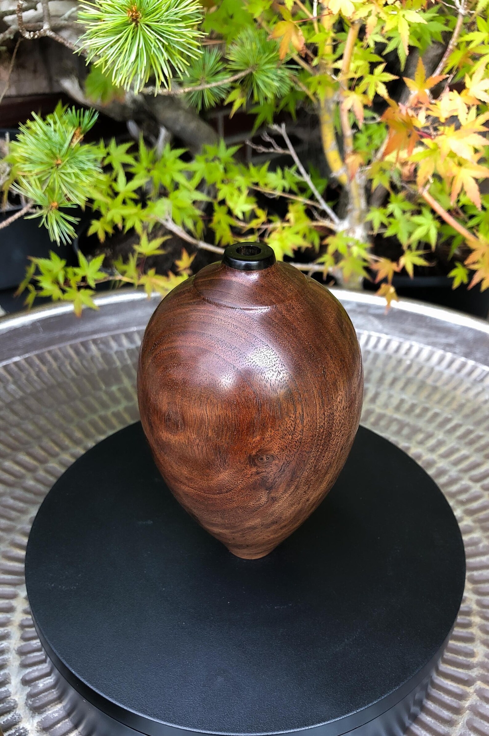 Claro Walnut Hollow Form Vase – Figured Wood With Ebony Center ...