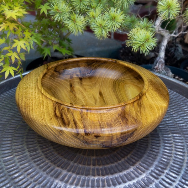 Black Locust - Etsy