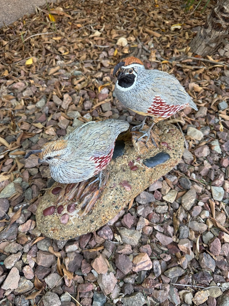 Hand Carved Wooden Male & Female Gambel's Quail Life Size - Etsy
