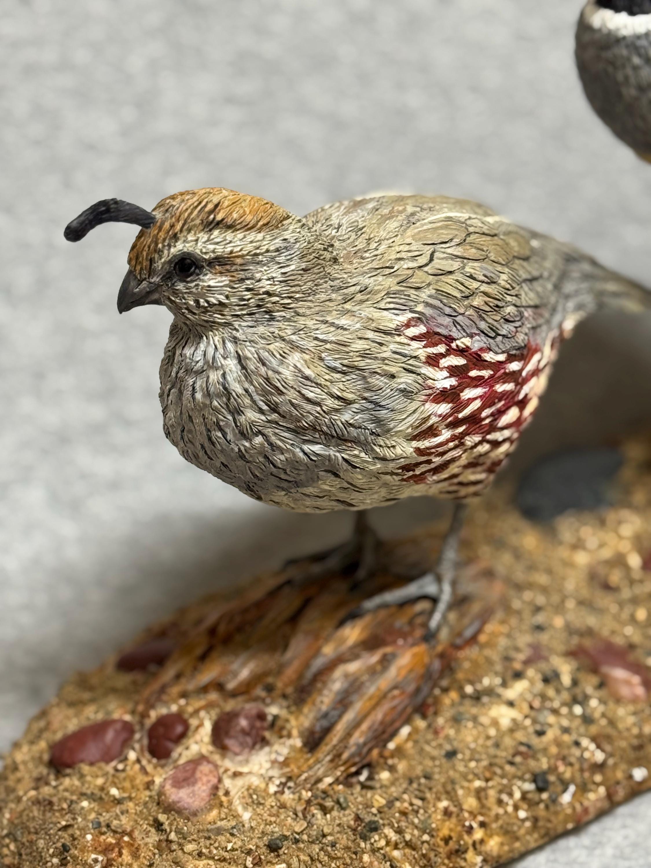 Hand Carved Wooden Male & Female Gambel's Quail Life Size - Etsy