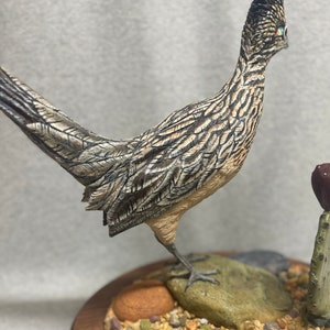Hand Carved Roadrunner/life Size - Etsy