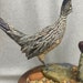 Hand Carved Roadrunner/life Size - Etsy