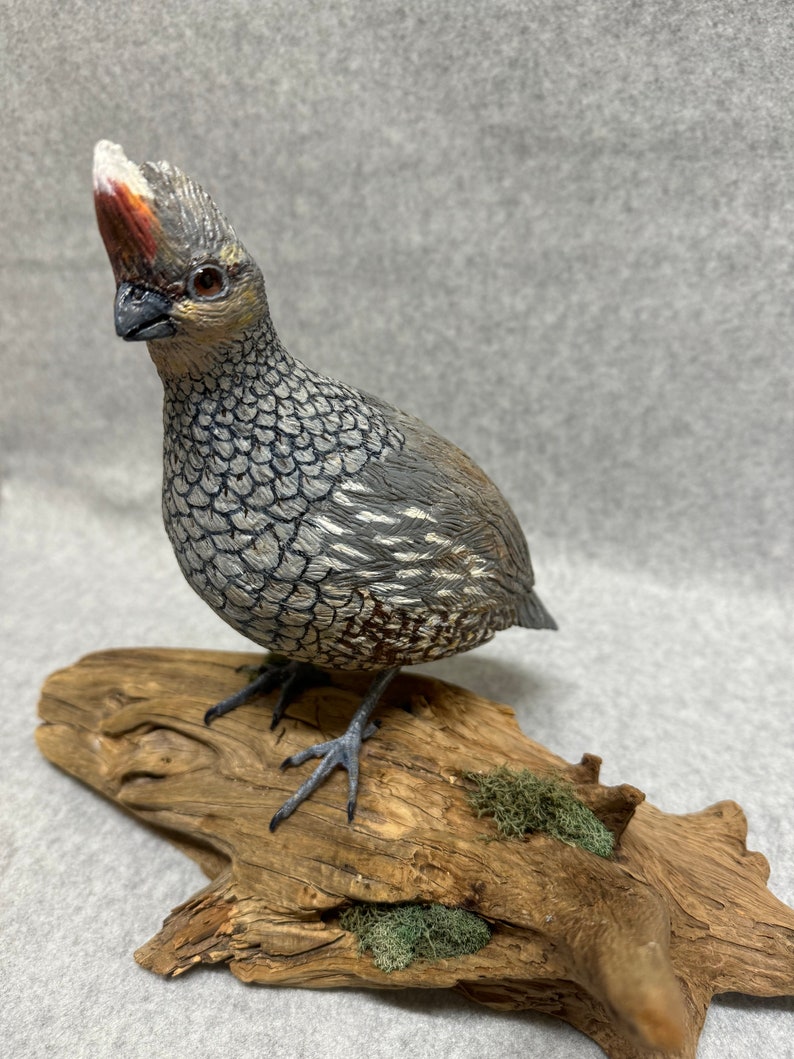 Hand Carved Wooden Scaled Quail/life Size - Etsy Canada