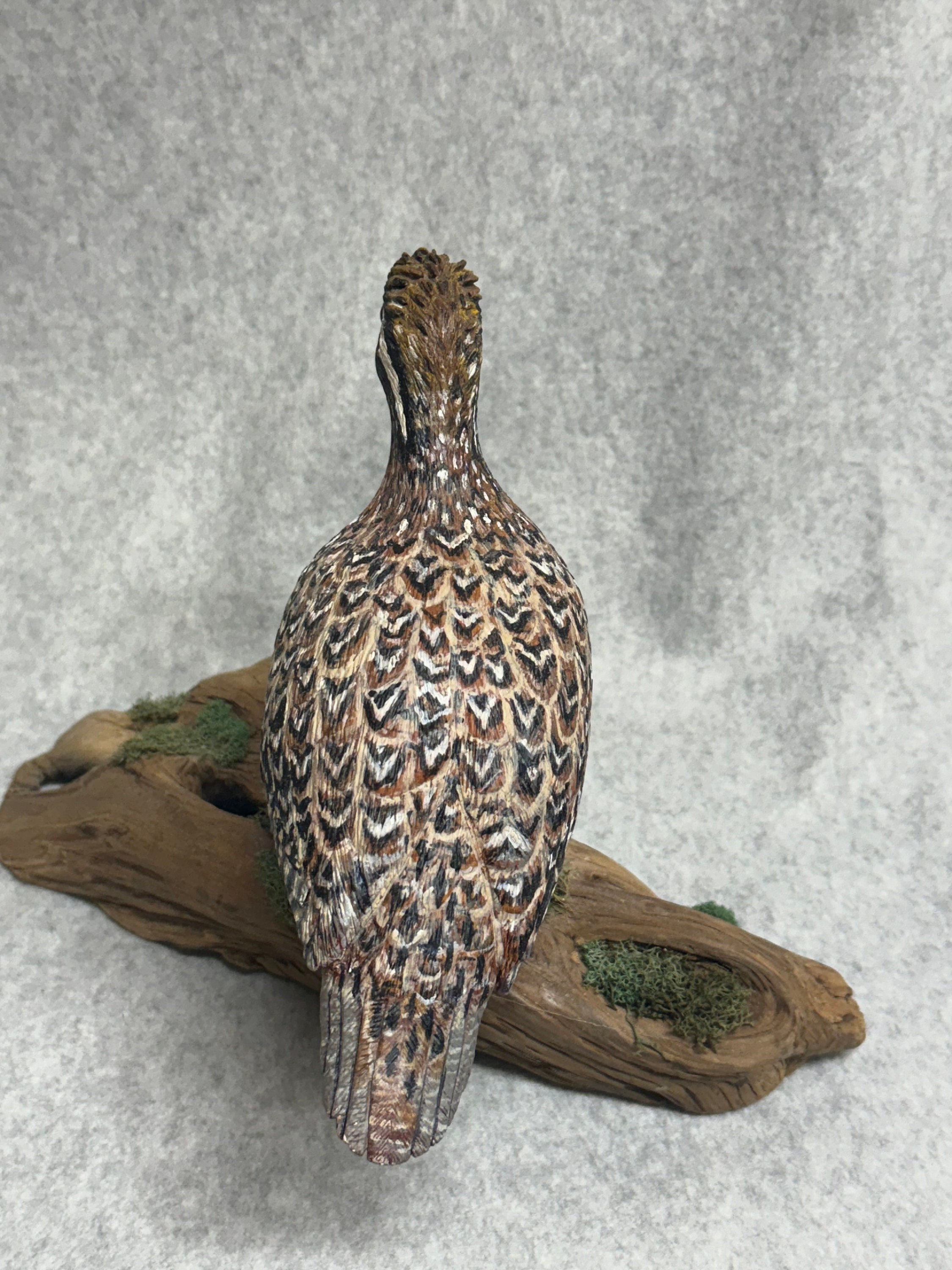 Hand Carved Wooden Bob White Quail/life Size - Etsy