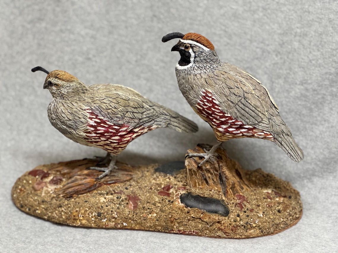 Hand Carved Wooden Male & Female Gambel's Quail Life Size - Etsy
