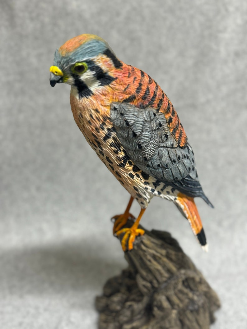 Hand Carved Wooden American Kestrel Hawk/life Size/ Sparrow Hawk ...