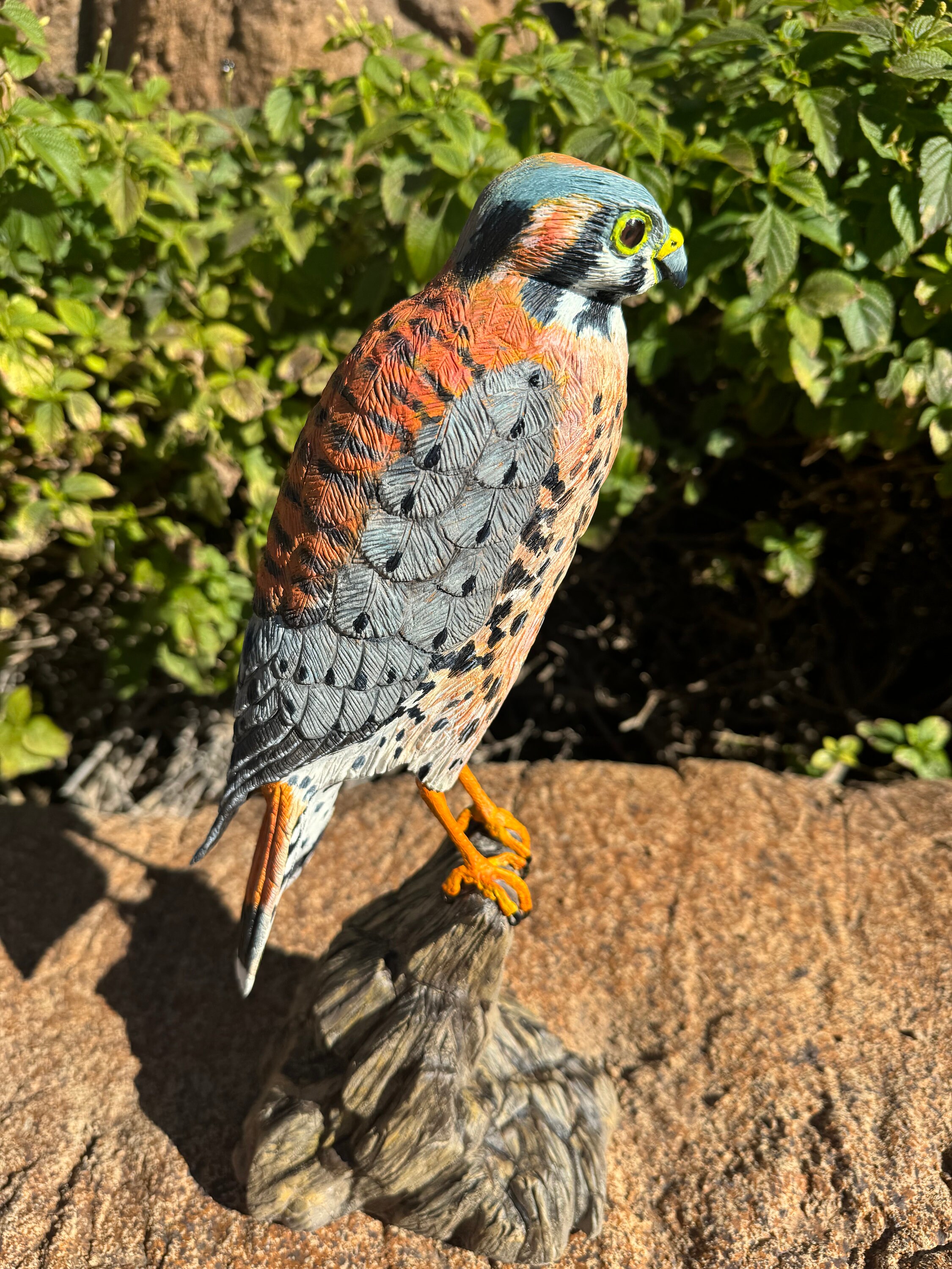 Hand Carved Wooden American Kestrel Hawk/life Size/ Sparrow Hawk ...
