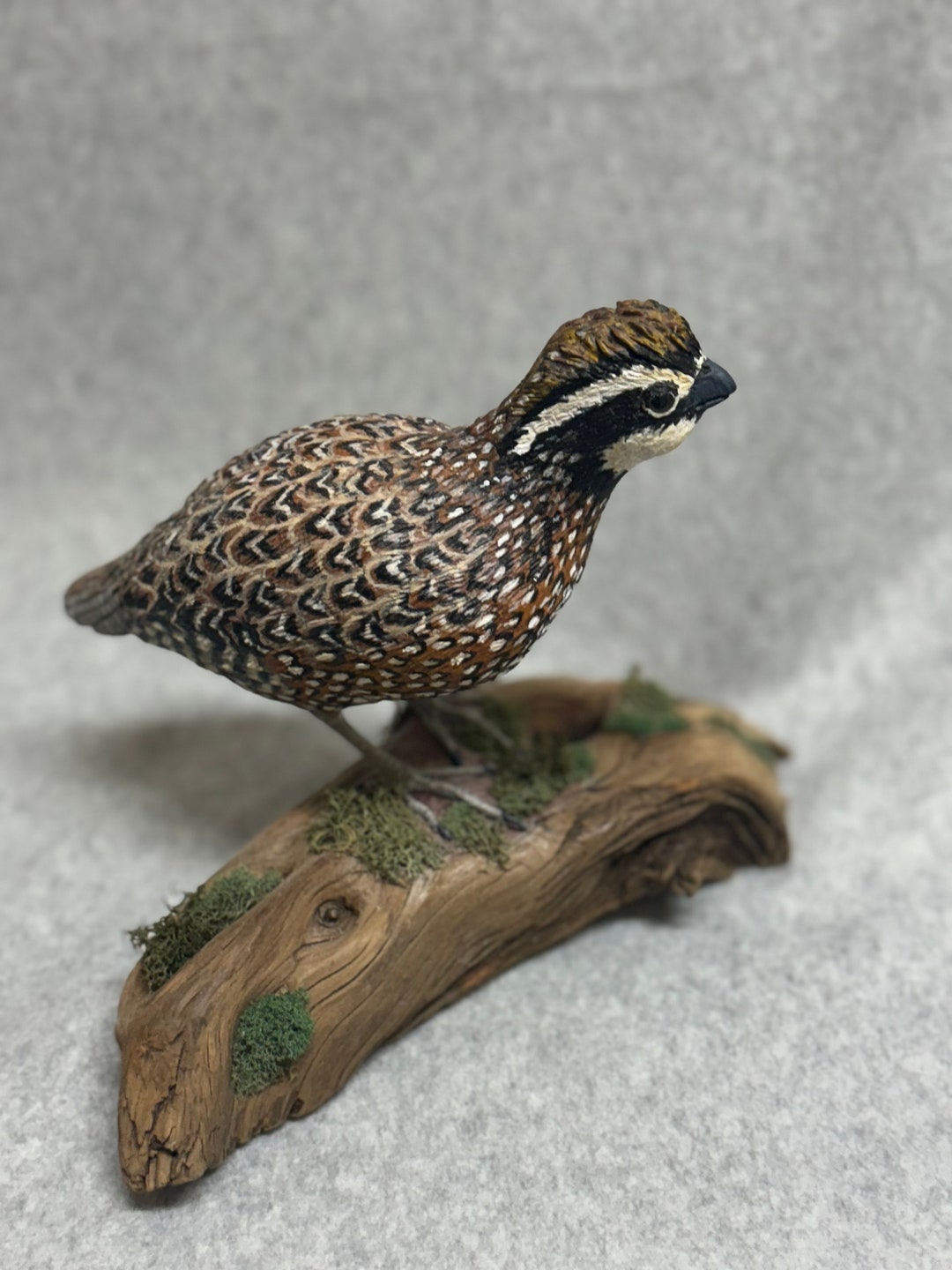 Hand Carved Wooden Bob White Quail/life Size - Etsy