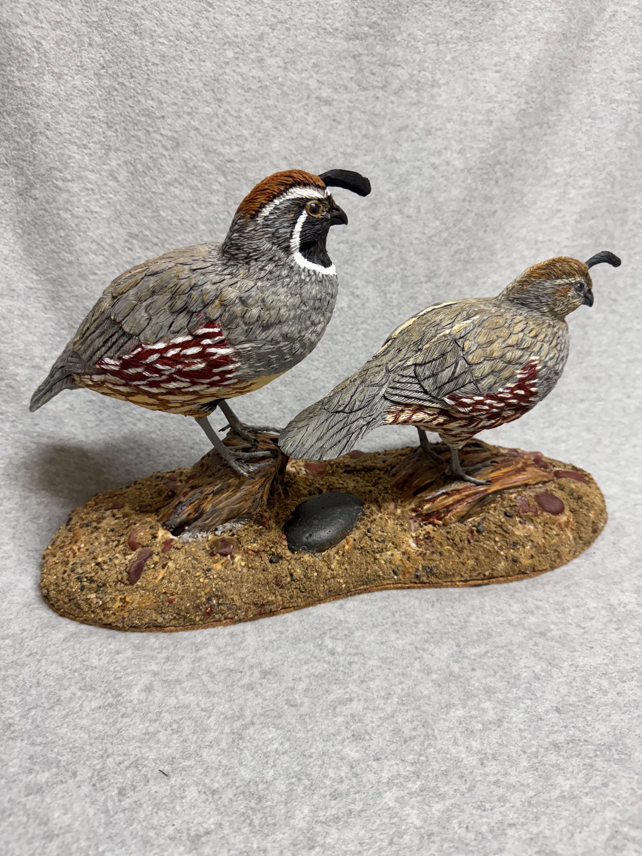 Hand Carved Wooden Male & Female Gambel's Quail Life Size - Etsy