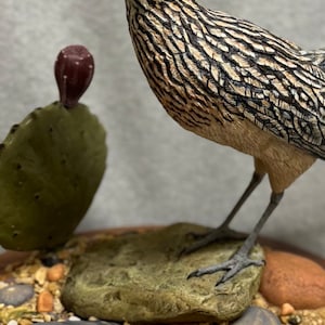 Hand Carved Roadrunner/life Size - Etsy