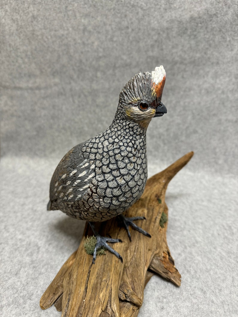 Hand Carved Wooden Scaled Quail/life Size - Etsy