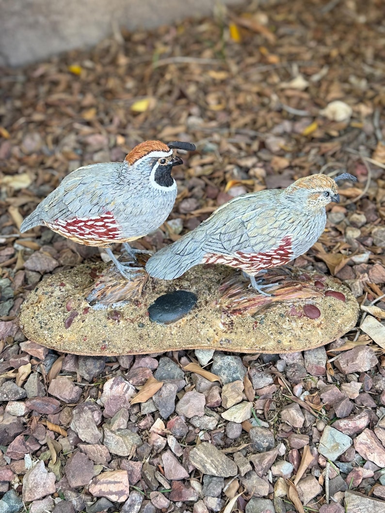 Hand Carved Wooden Male & Female Gambel's Quail Life Size - Etsy