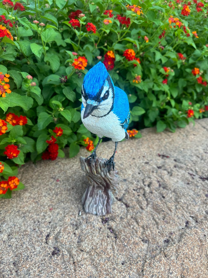 Hand Carved Wooden Blue Jay Life Size - Etsy